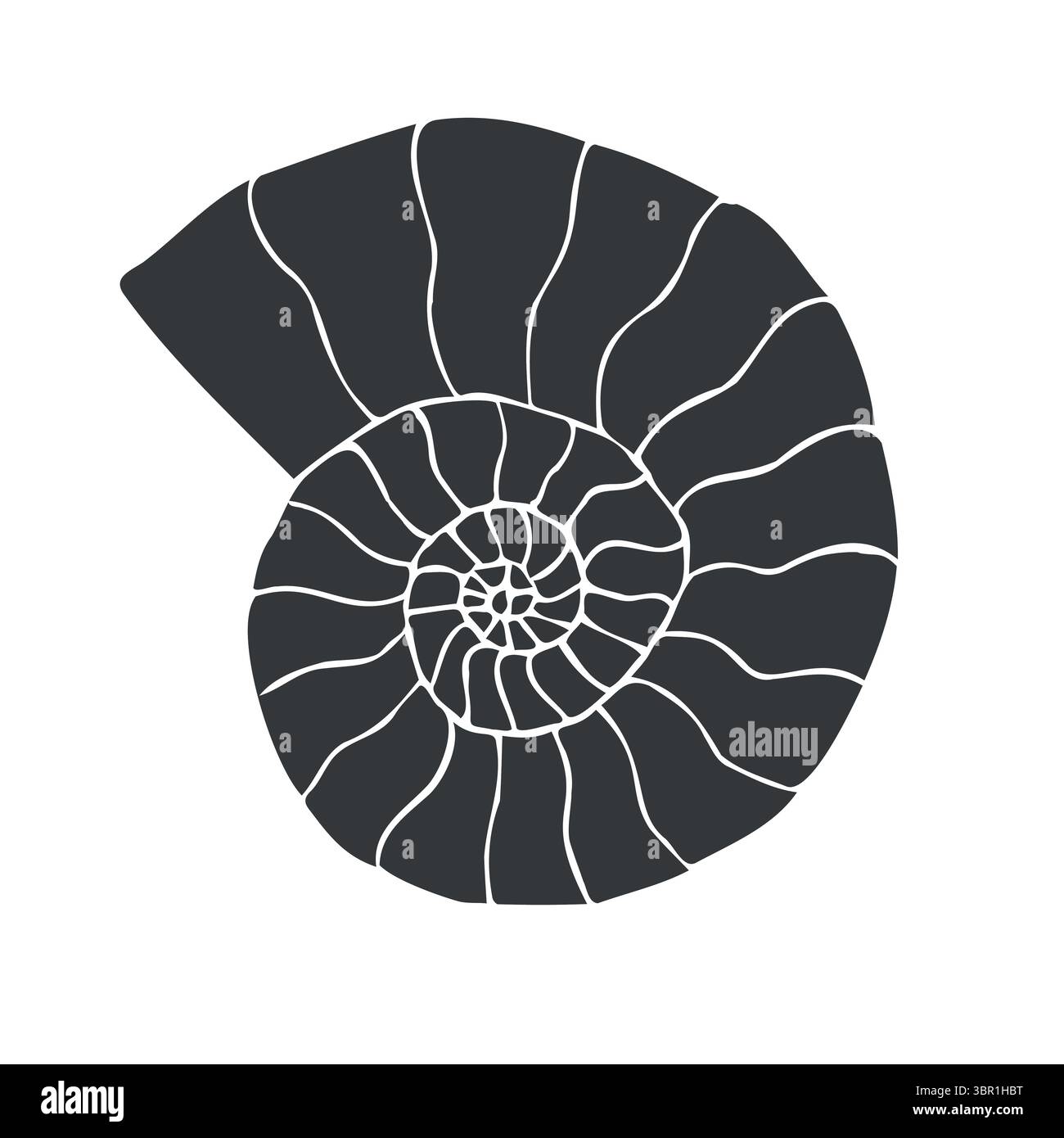 Vector hand drawn sketch doodle ammonite isolated on white background ...