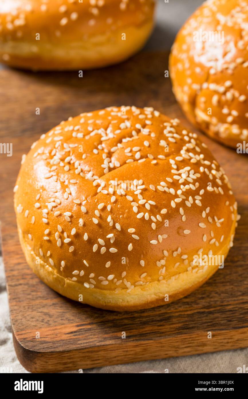 Homemade Brioche Sesame Seed Hamburger Buns Ready to Use Stock Photo ...