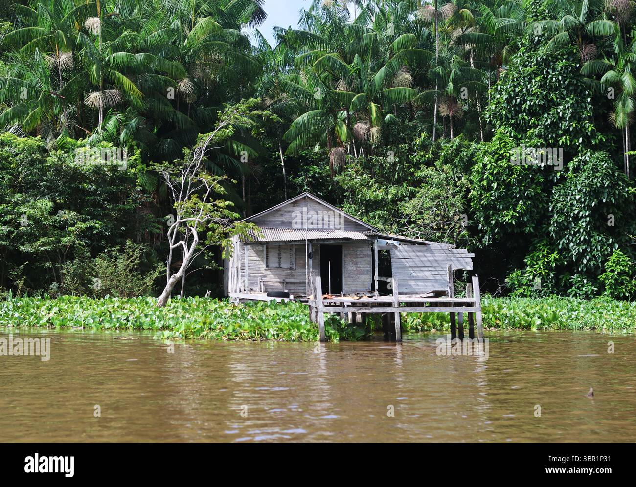Belem, Brazil. 10th July, 2025. PA - BELEM - 07/10/2025 - PARA ...
