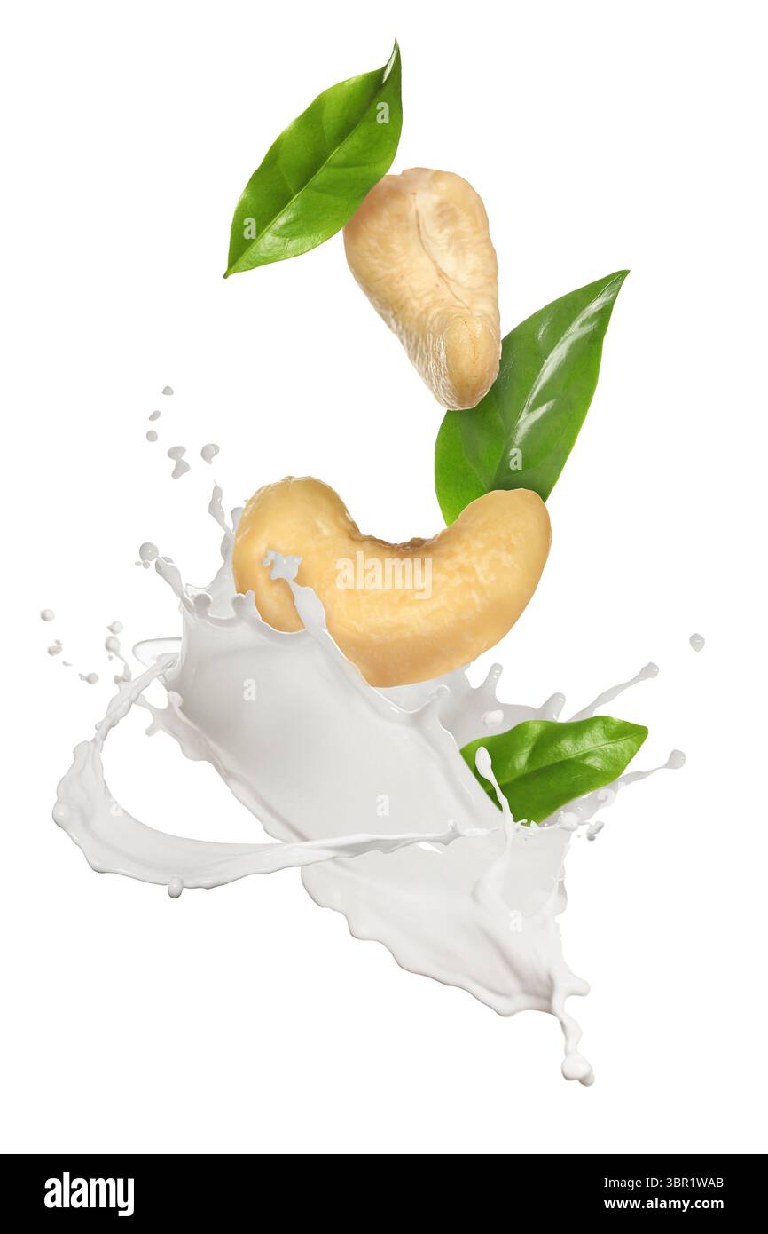 Milk nut splash, cashews and green leaves in air against white ...