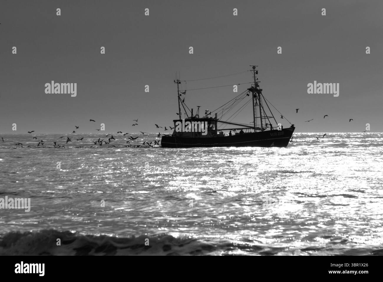 Evening fish Black and White Stock Photos & Images - Alamy
