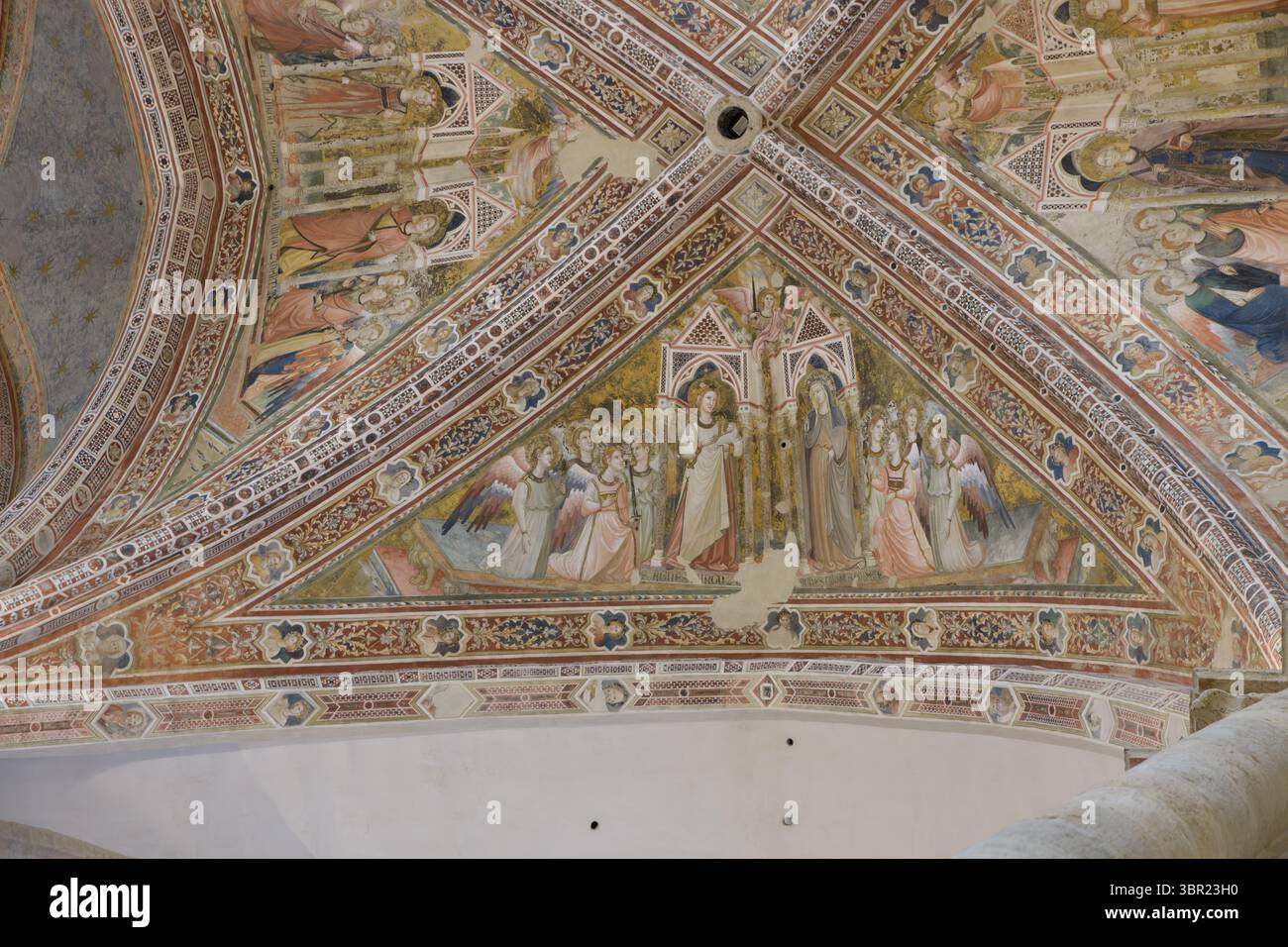 Frescoed vault of Basilica of Saint Clare in Assisi, Italy, with ...