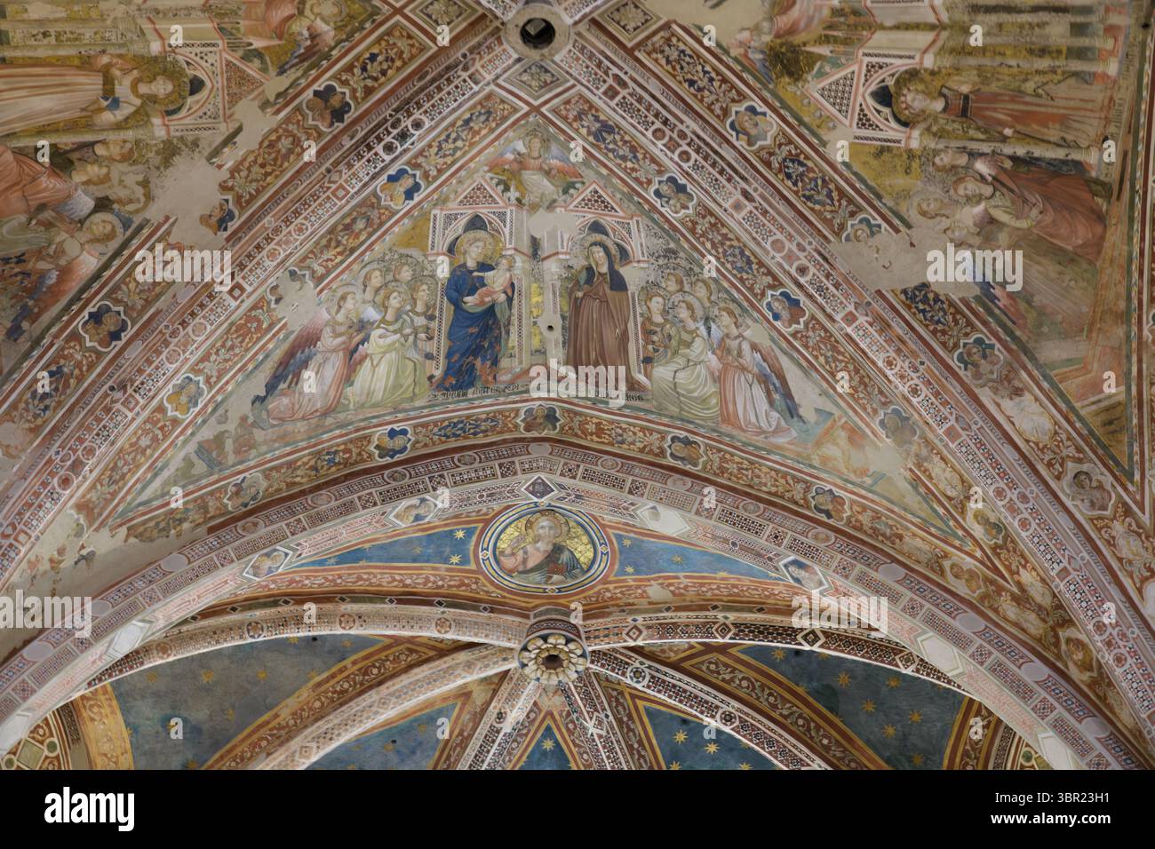 Frescoed vault of Basilica of Saint Clare in Assisi, Italy, with ...