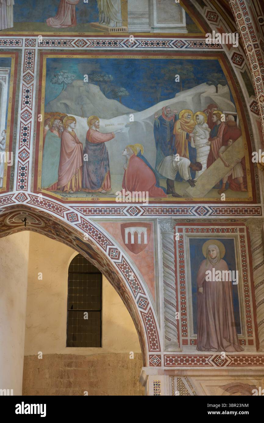 Fresco by Giotto in the Chapel of Mary Magdalene, Lower Basilica of ...
