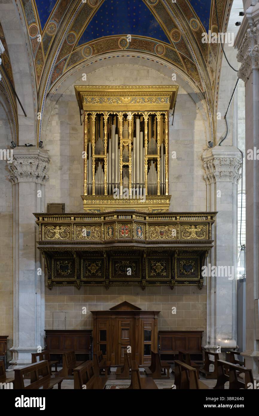 Baroque pipe organ with ornate gilded case in San Martino Cathedral ...