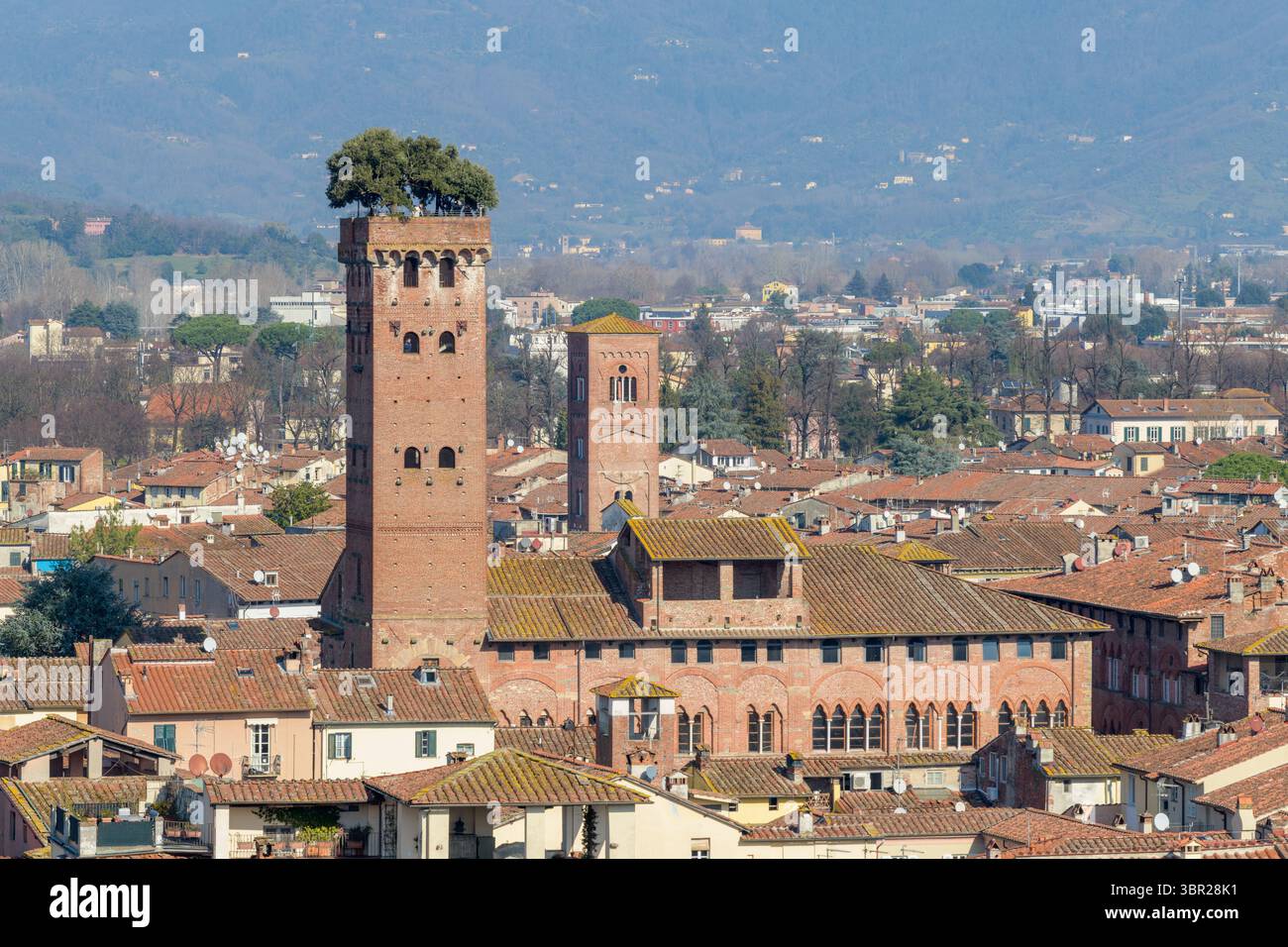 Torre Guinigi with rooftop trees and Palazzo Orsetti seen from above ...