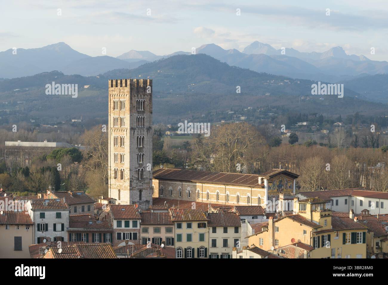 View from Guinigi Tower showing Basilica di San Frediano and bell tower ...