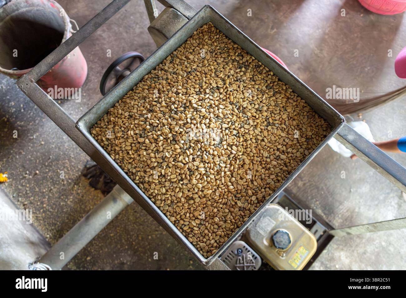 A bin full of dried parchment coffee beans sits atop a mechanical pulper during traditional post ...