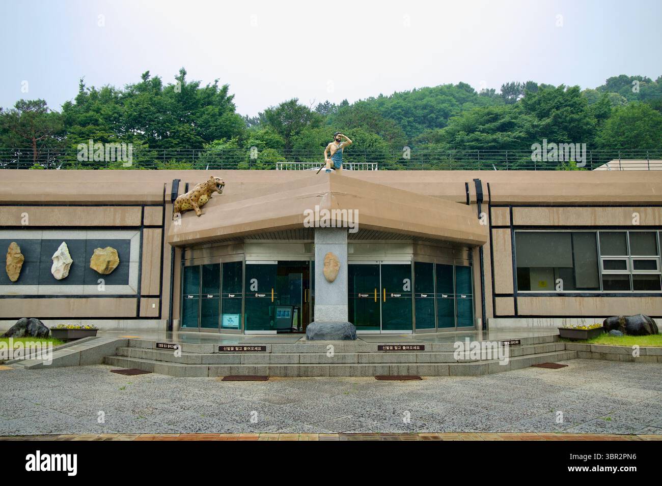 Gongju City, South Korea - June 13th 2025: Life-sized models of a saber-toothed cat and ...