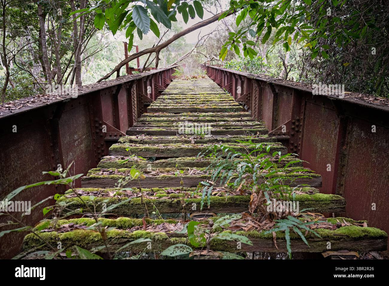 Old railway bridge, Peterson creek Yungaburra, Queensland, historic ...