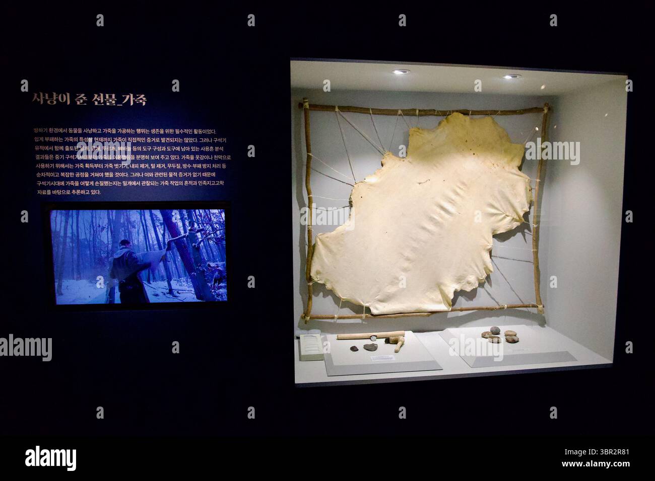 Gongju City, South Korea - June 13th 2025: A display of animal hide ...