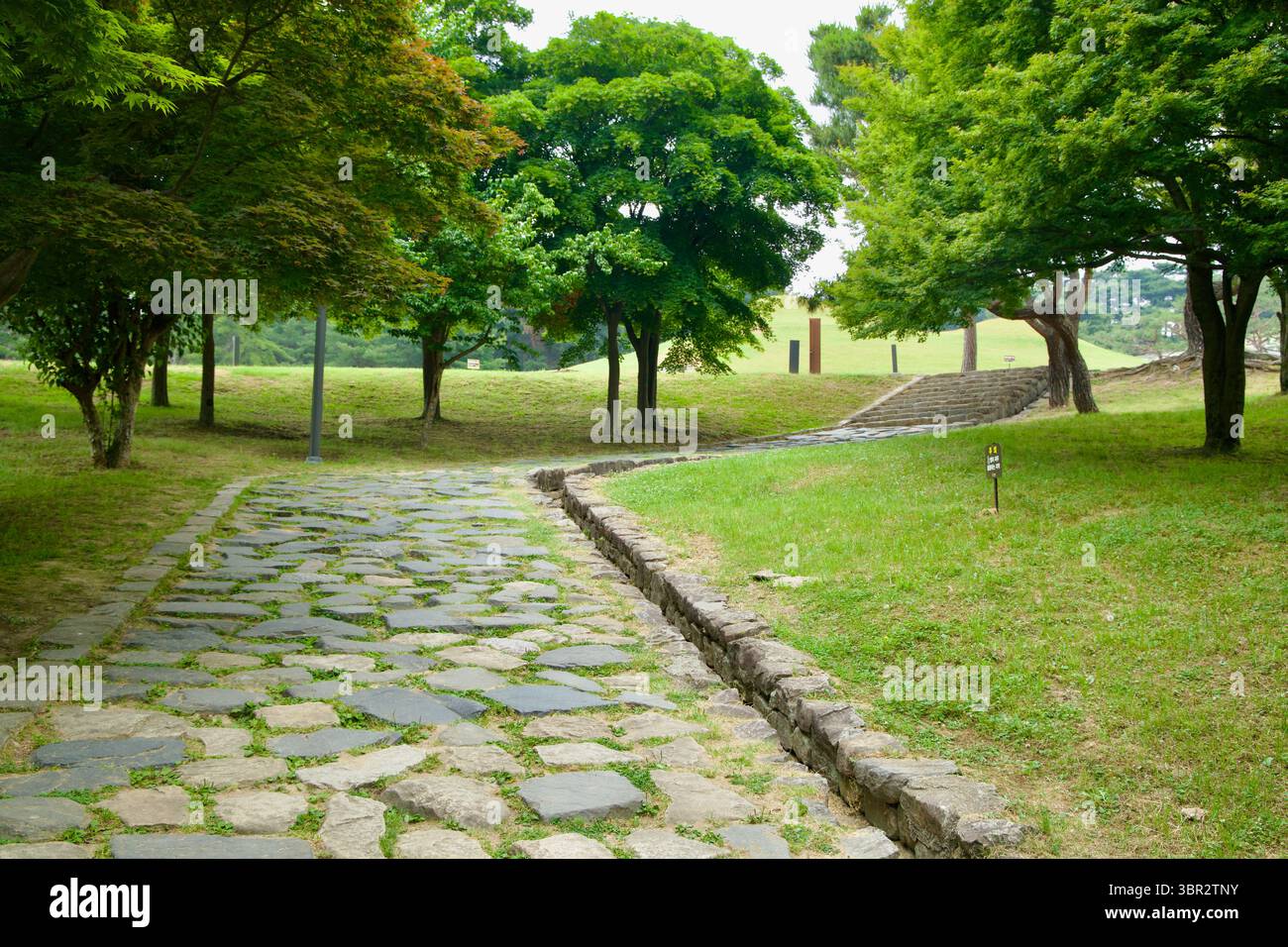 Gongju, South Korea - June 13th 2025: A quiet stone walkway winds through shaded trees and ...
