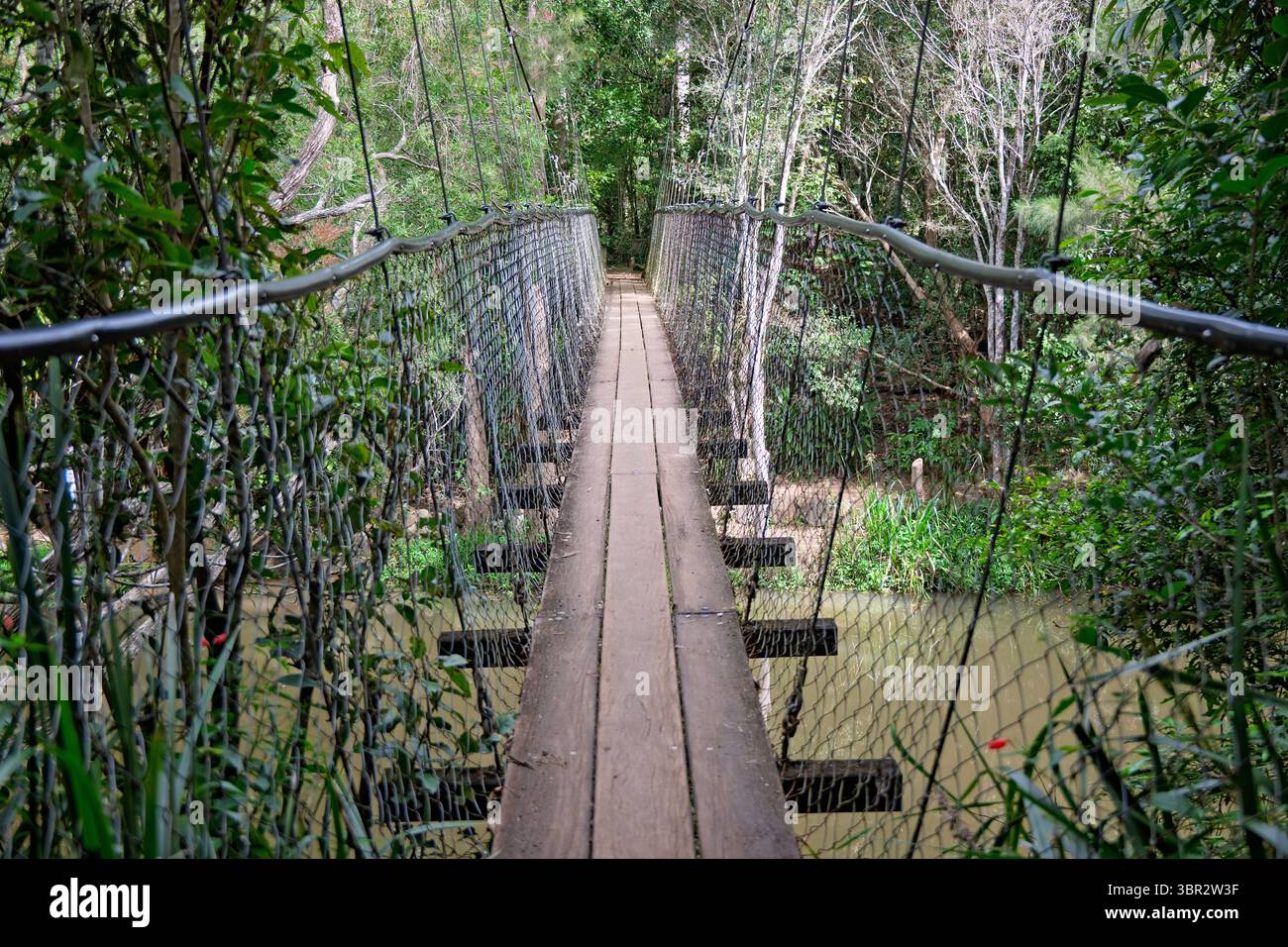 suspension bridge over Peterson creek, wildlife and botanical walking ...