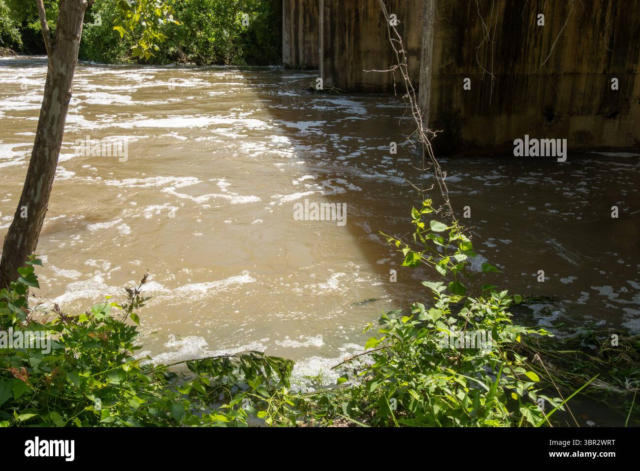 Texas flood 2025 hi-res stock photography and images - Alamy