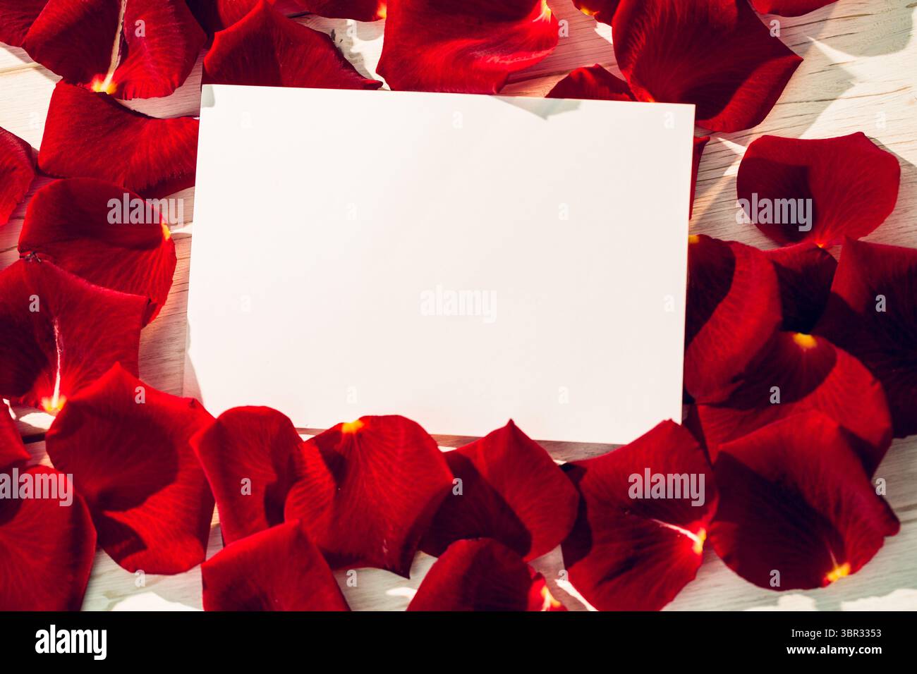Rose and card hi-res stock photography and images - Alamy