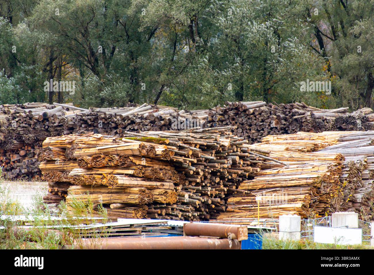 Tree logging in rural hi-res stock photography and images - Alamy