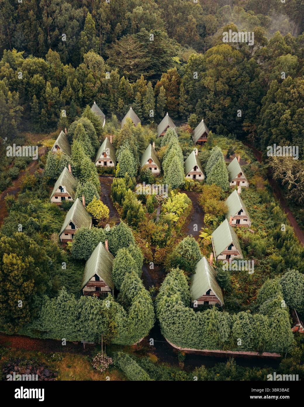 Aerial view of triangular roofed buildings nestled among lush green ...