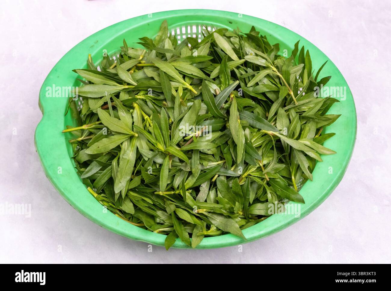 Fresh Buffalo spinach (Enhydra fluctuans) in a plastic basket. This ...