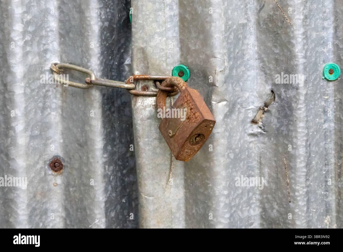 Close-up of an old rusted lock and chain link on a galvanized iron ...