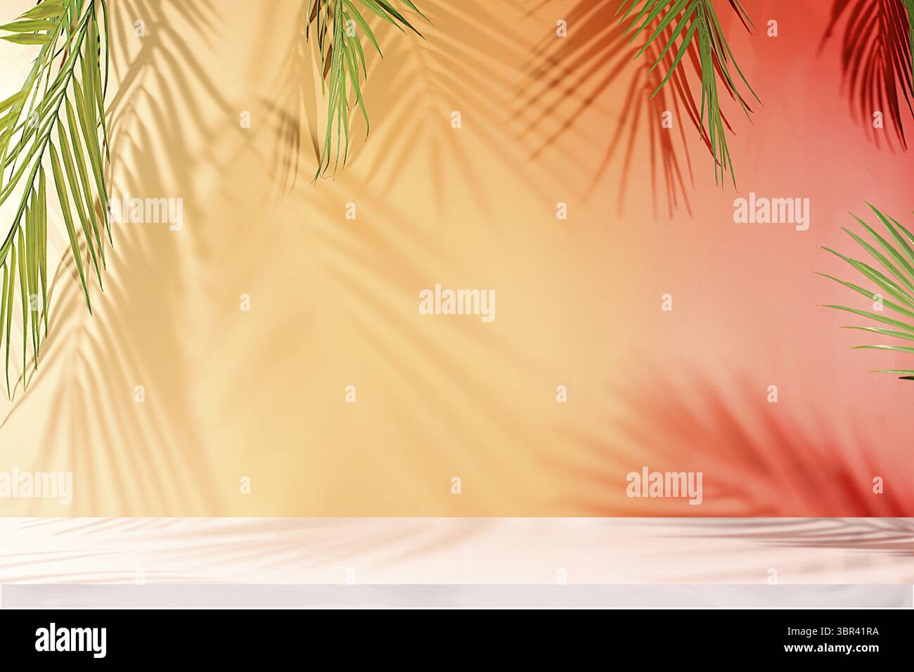 Empty tropical sunny colorful banner, background with long shadows from ...