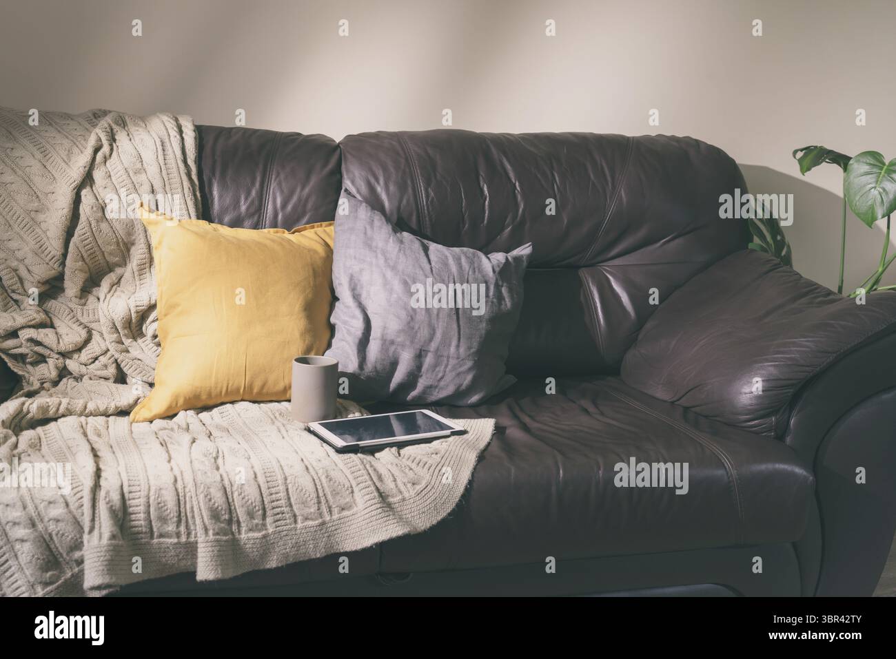 Closeup of luxurious expensive old brown leather couch with pillows and ...