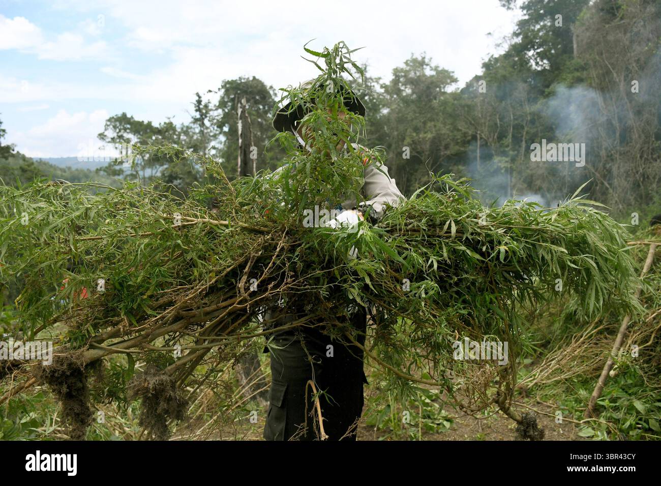 Joint apparatus hi-res stock photography and images - Alamy
