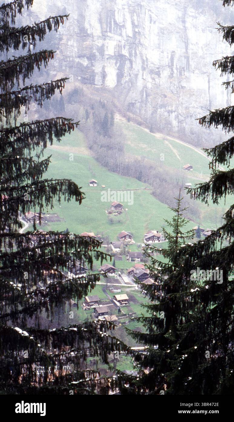 Swiss Alpine Village Framed by Fir Trees Stock Photo - Alamy