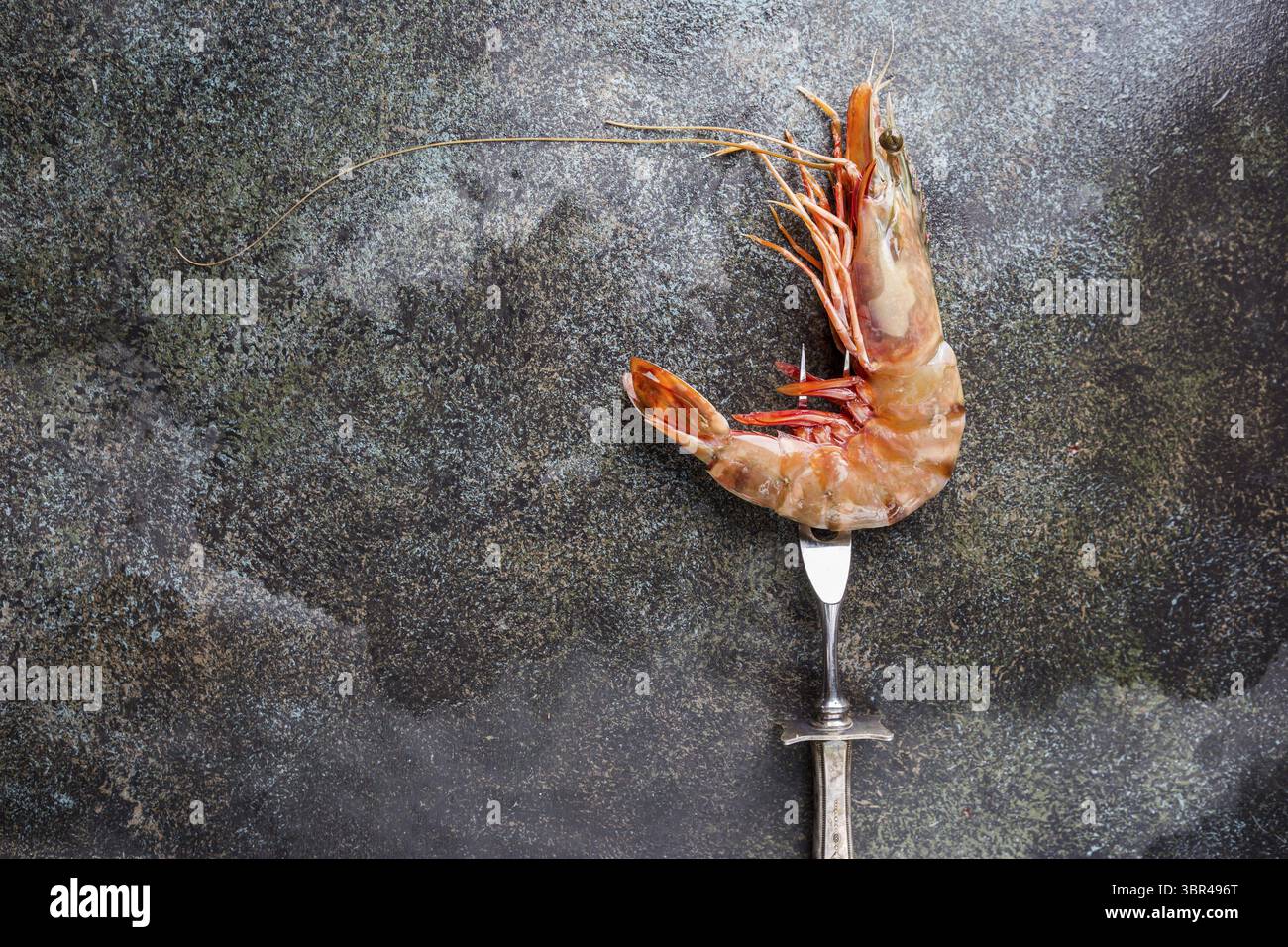 Giant Raw fresh Tiger Prawn over dark stone background, top view Stock ...