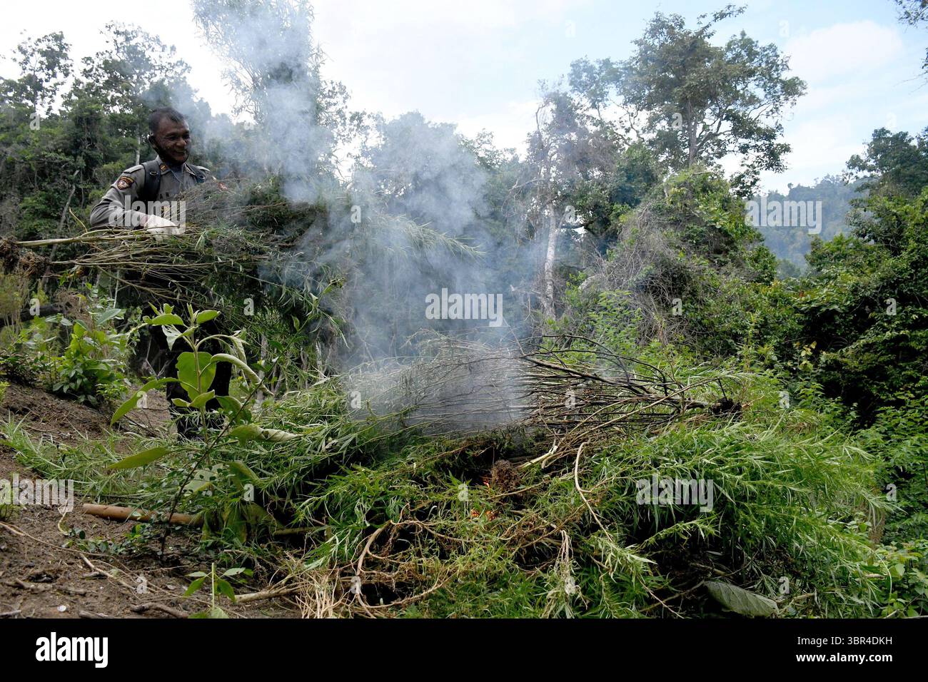 1 5 hectare hi-res stock photography and images - Alamy