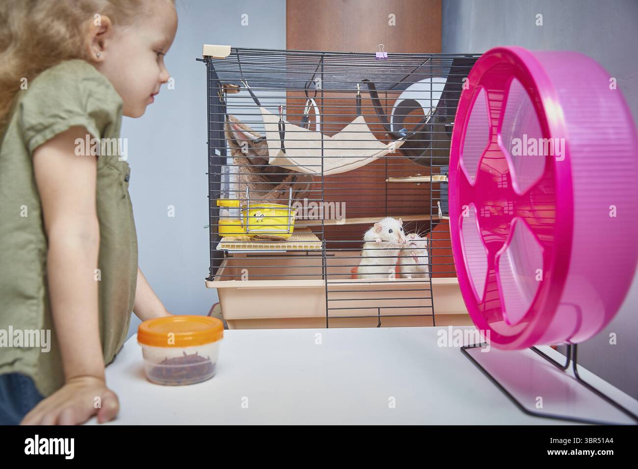 Sich konzentrieren hi-res stock photography and images - Alamy