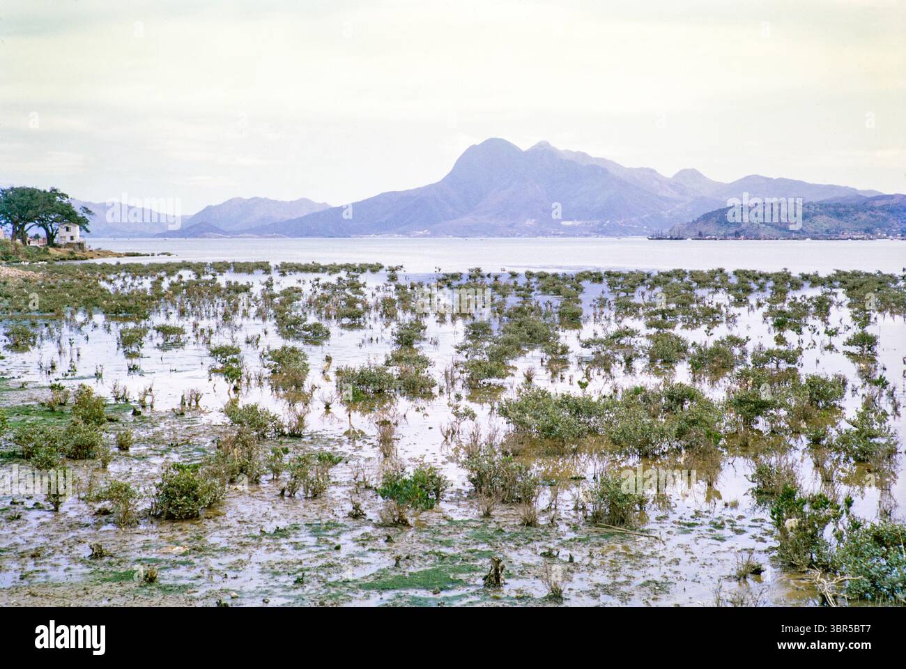 Coastal landscape Tai Po Hoi harbour, New Territories, Hong Kong, Asia ...