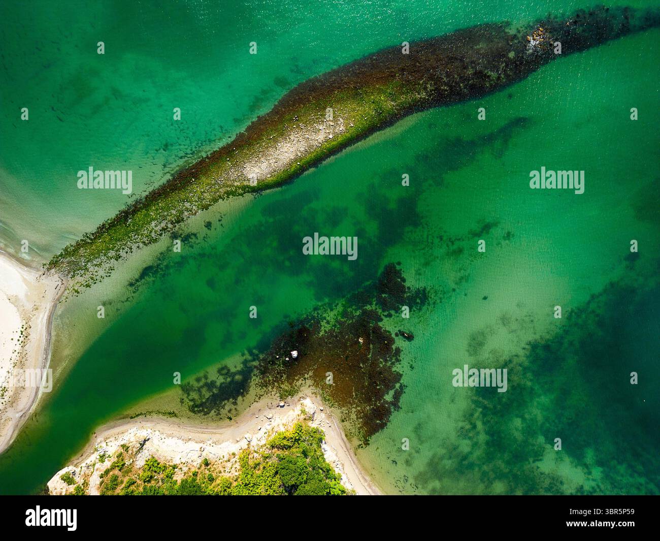 Aerial view of the picturesque curves of a river among lush vegetation ...