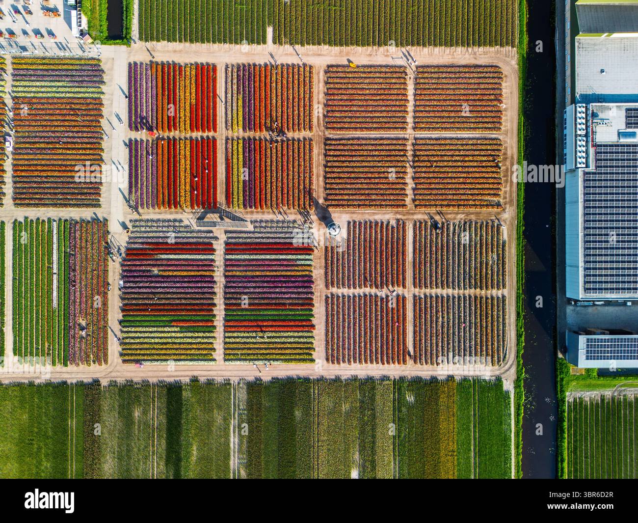 Colorblocks hi-res stock photography and images - Alamy