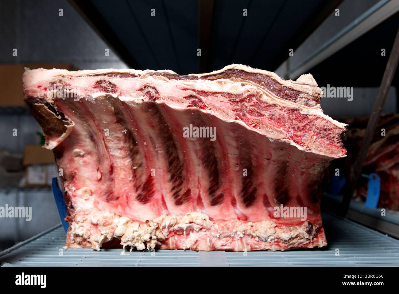 Carnevino's meat locker Stock Photo - Alamy