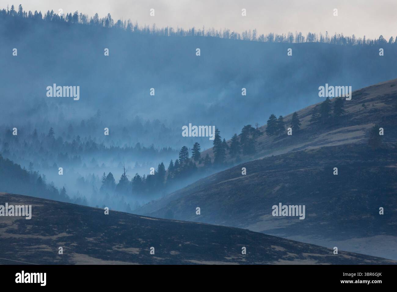 Confederated salish kootenai tribes hi-res stock photography and images ...