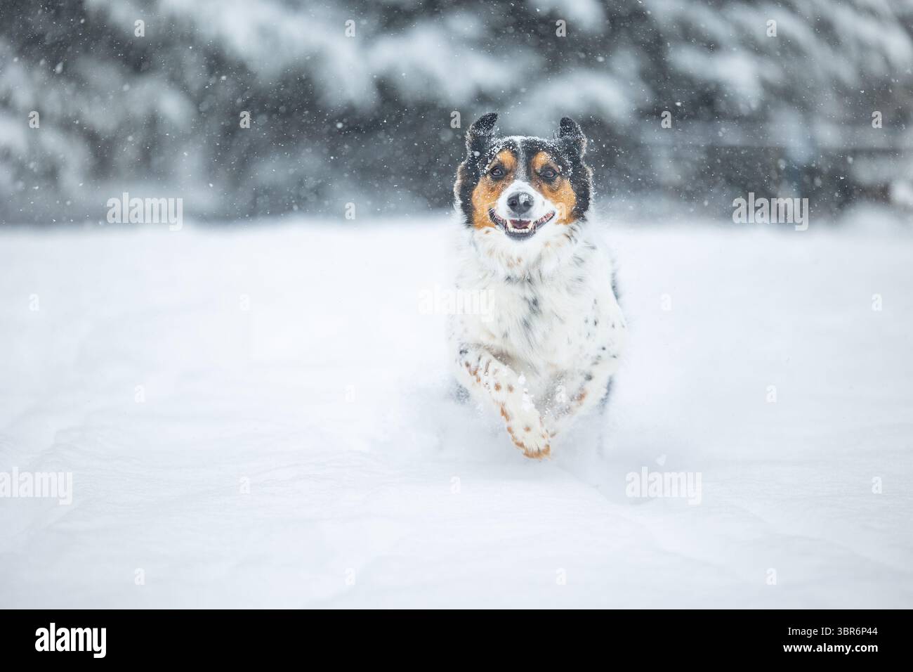 Day energetic hi-res stock photography and images - Alamy