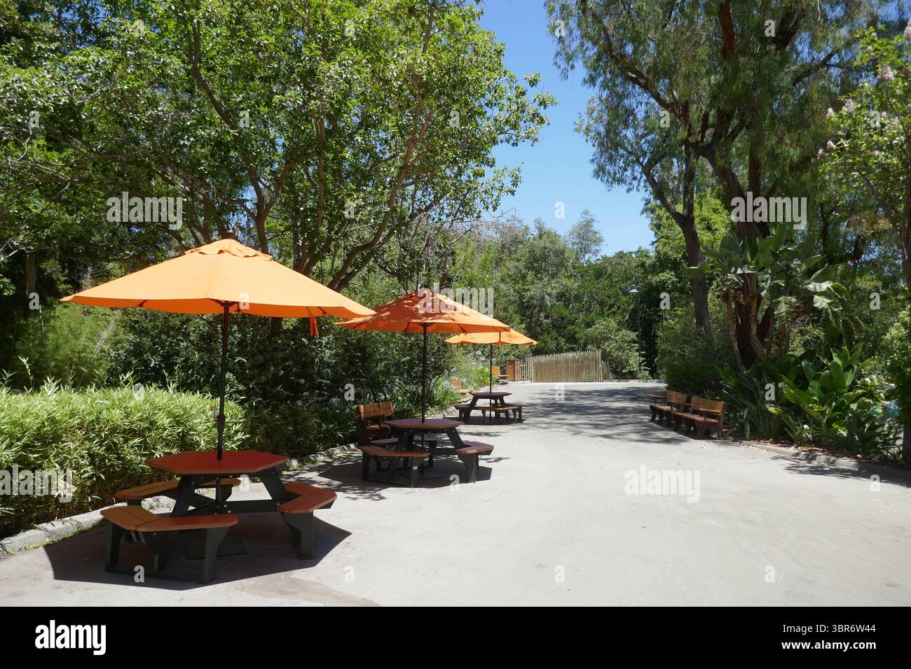Los Angeles, California, USA 9th July 2025 LA Zoo on July 9, 2025 in ...