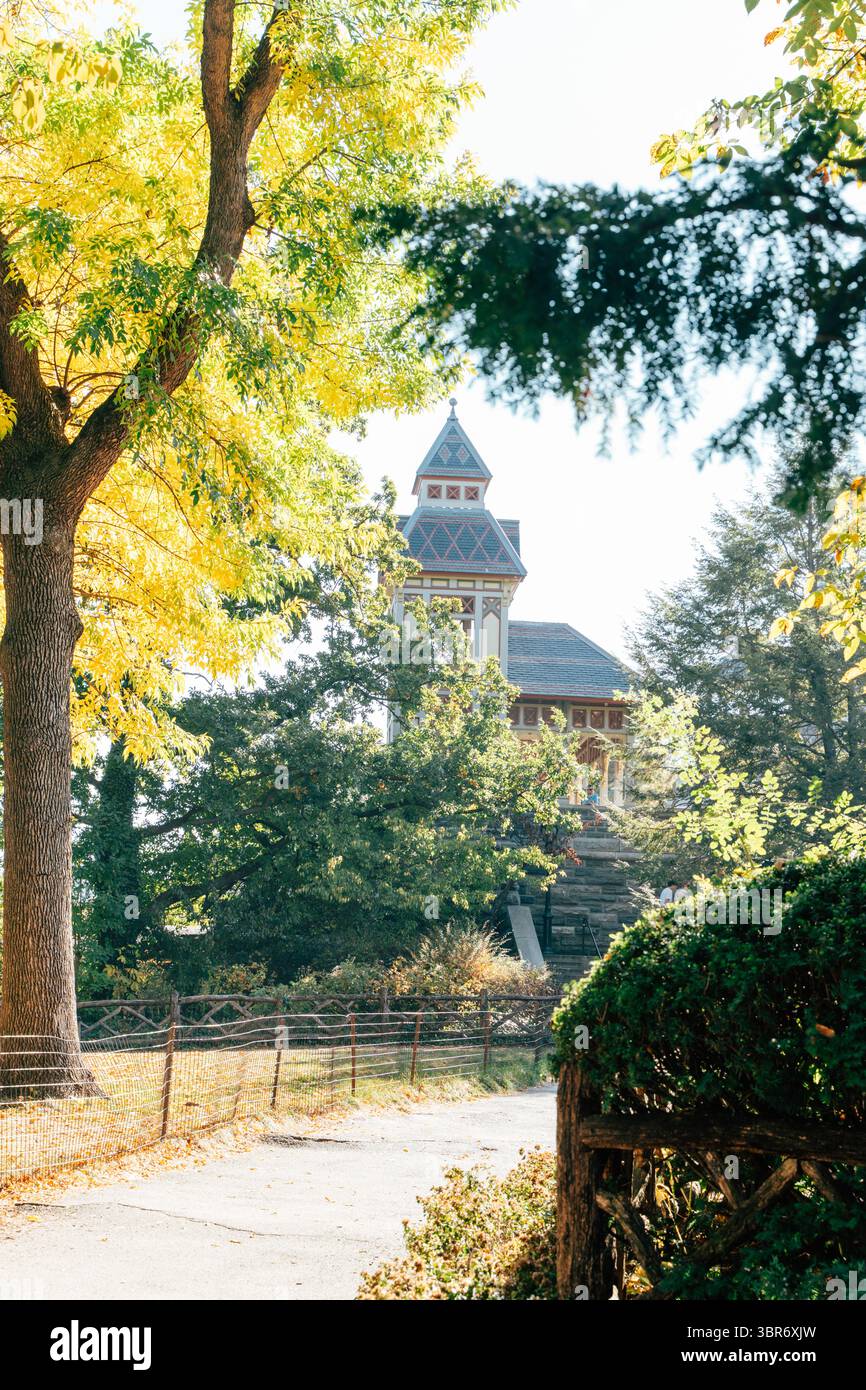 Discovering the beauty of Central Park in October with vibrant a Stock ...