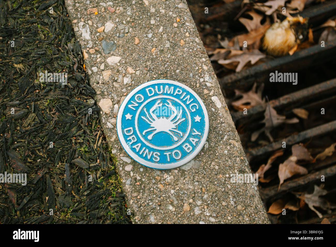 No Dumping Drains to Bay Blue Crab Storm Drain Marker Stock Photo - Alamy