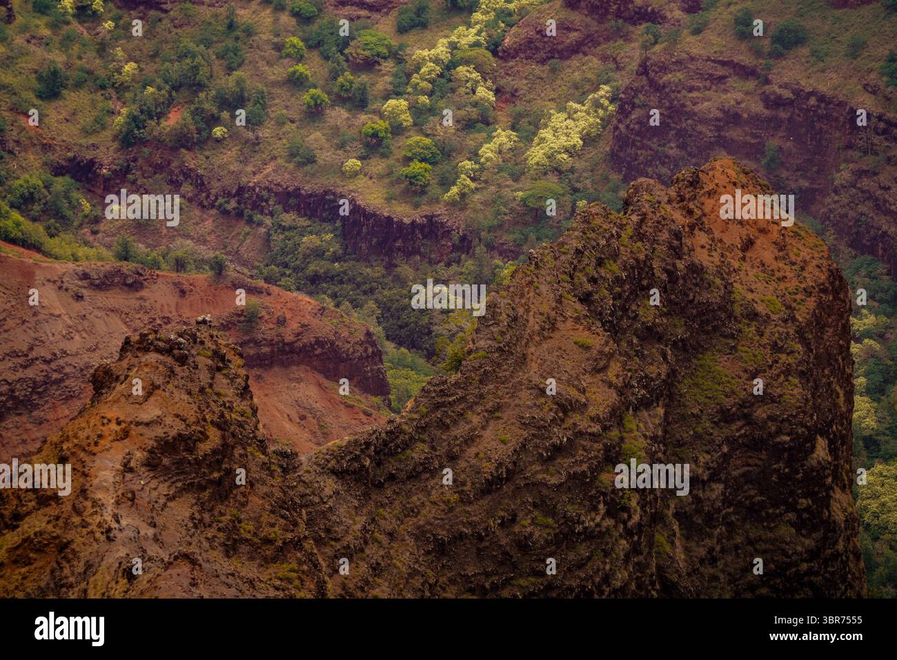 Overhead view of Waimea Canyon Stock Photo - Alamy