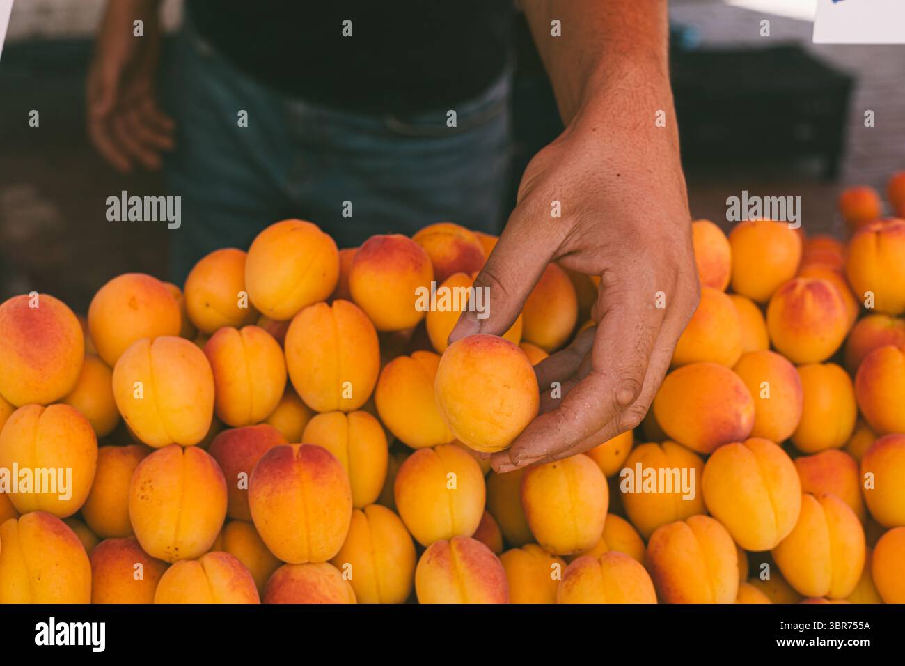 Apricot hand hi-res stock photography and images - Alamy