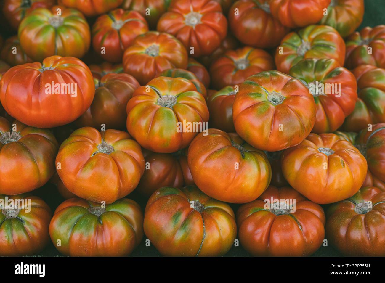 Harvest of big ripe red and green tomatoes Stock Photo - Alamy