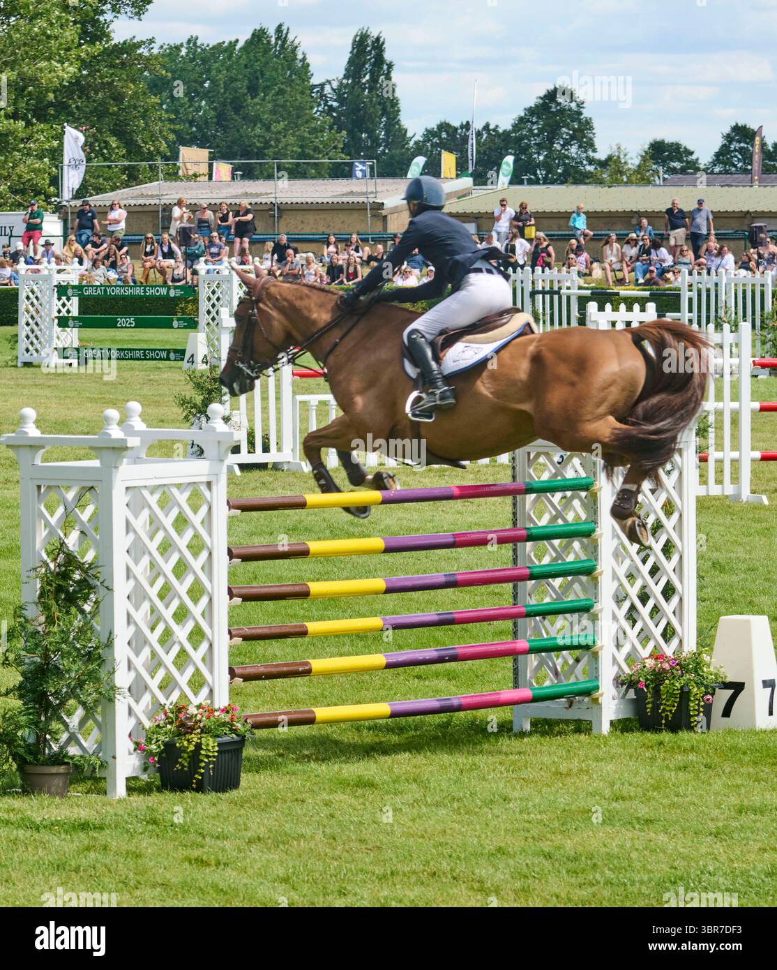 Show Jumping in the main ring at The 2025 Great Yorkshire Show ...