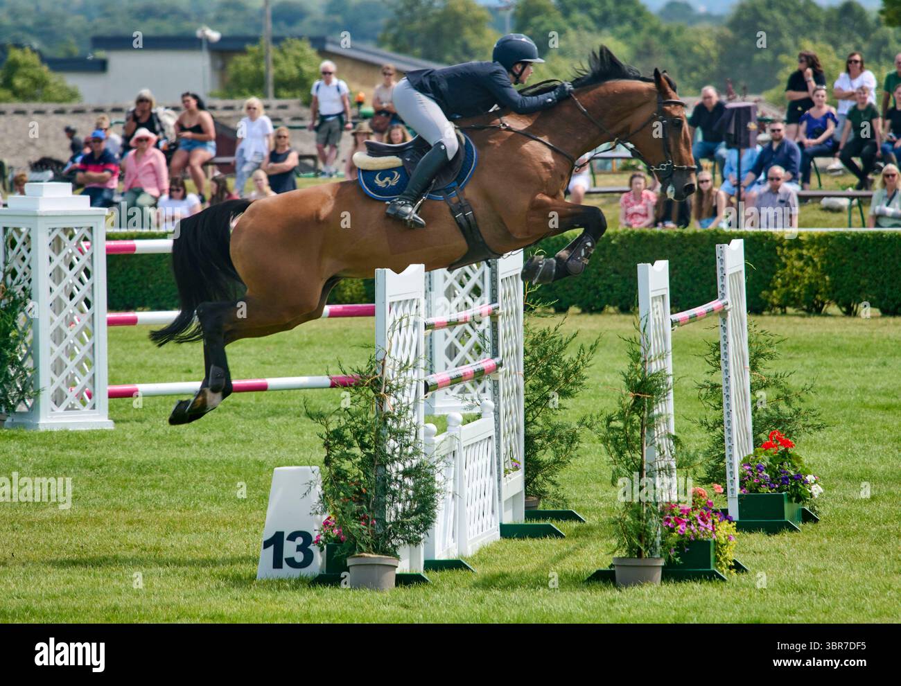 Show Jumping in the main ring at The 2025 Great Yorkshire Show ...