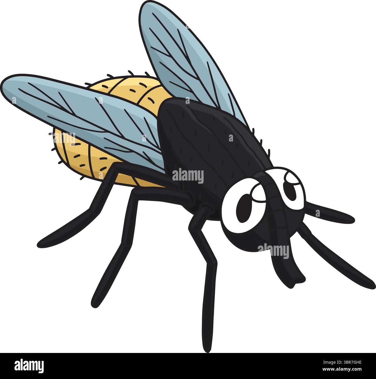 Insect Housefly Animal Cartoon Colored Clipart Stock Vector Image & Art ...