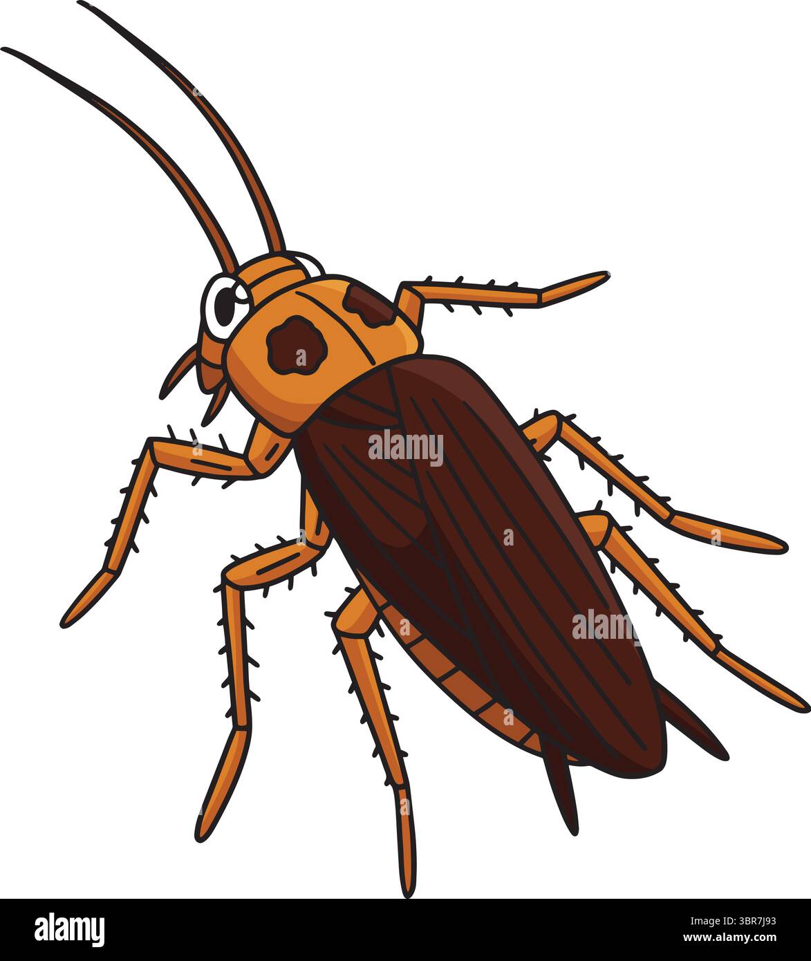 Insect Cockroach Animal Cartoon Colored Clipart Stock Vector Image ...