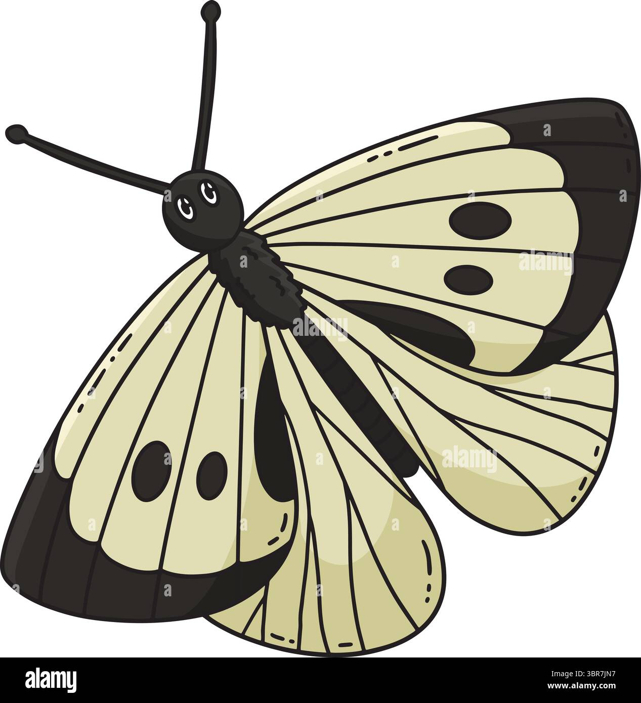 Insect Cabbage White Butterfly Cartoon Clipart Stock Vector Image & Art ...