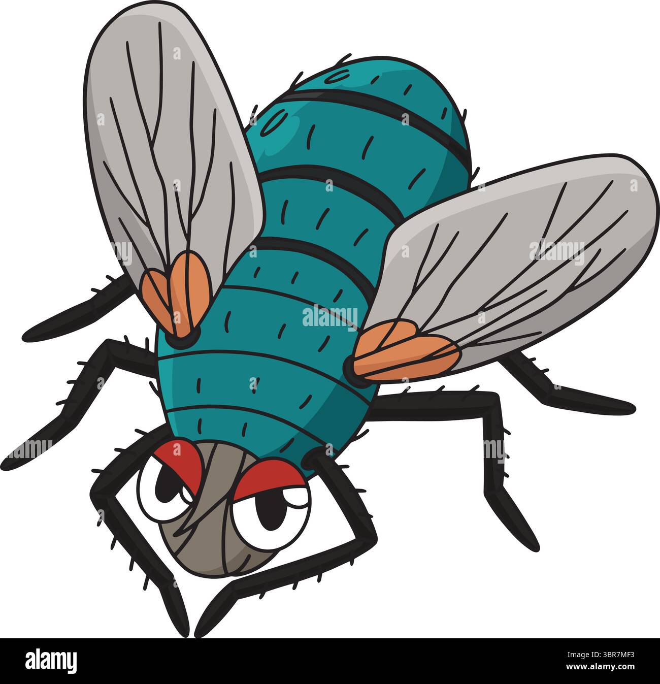 Insect Blow Fly Animal Cartoon Colored Clipart Stock Vector Image & Art ...