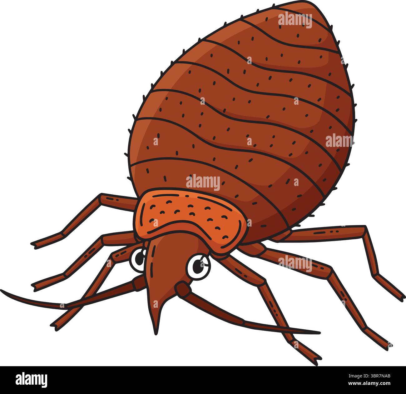 Insect Bed Bug Animal Cartoon Colored Clipart Stock Vector Image & Art ...