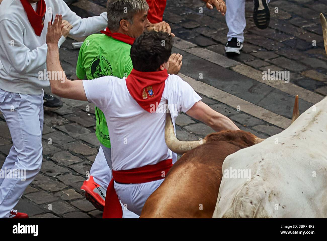 A bull pushes a young runner with its horn during the fifth running of ...